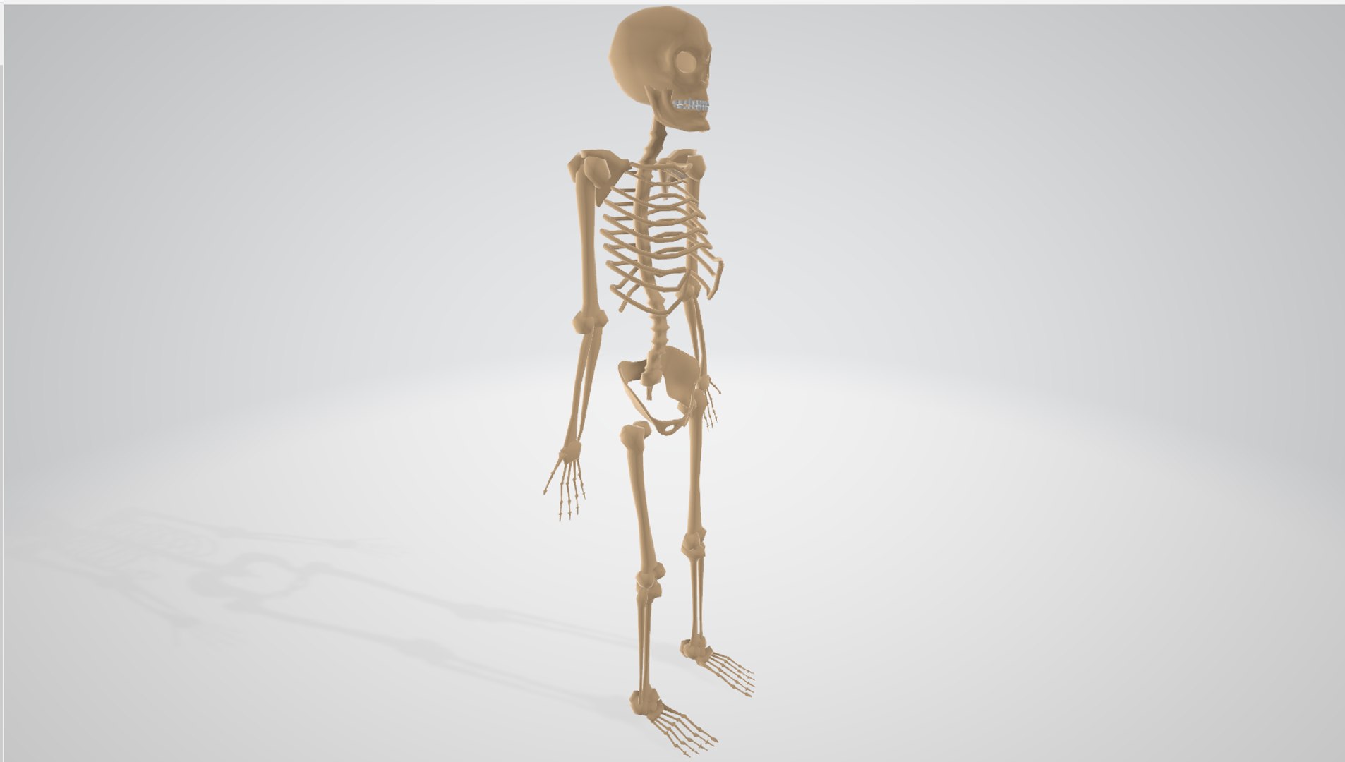 3D Skeleton Halloween Model - TurboSquid 1590797