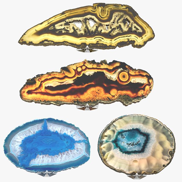 pearl shell animation 3d max