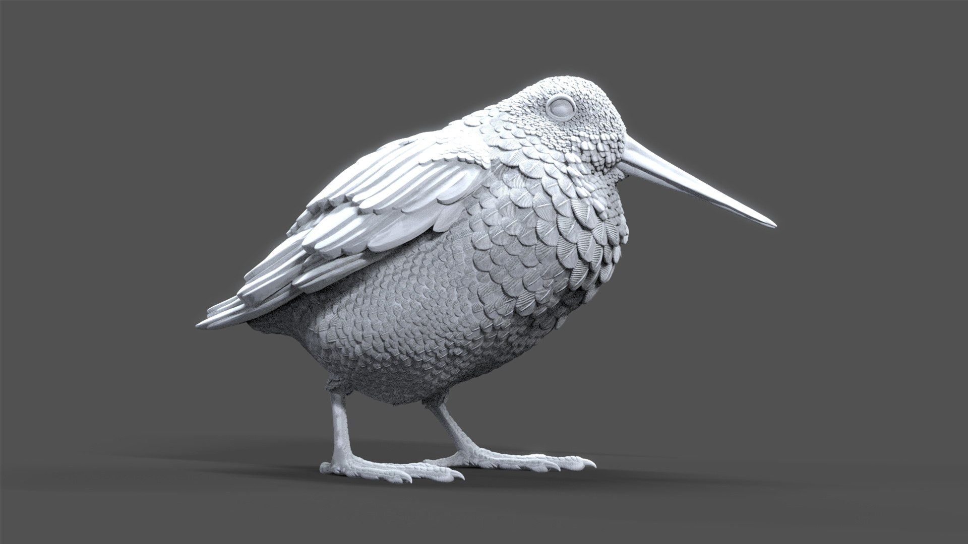 3D Bird Woodcock Model - TurboSquid 2407792