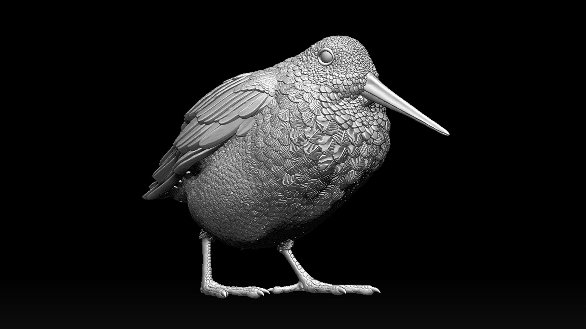 3D Bird Woodcock Model - TurboSquid 2407792