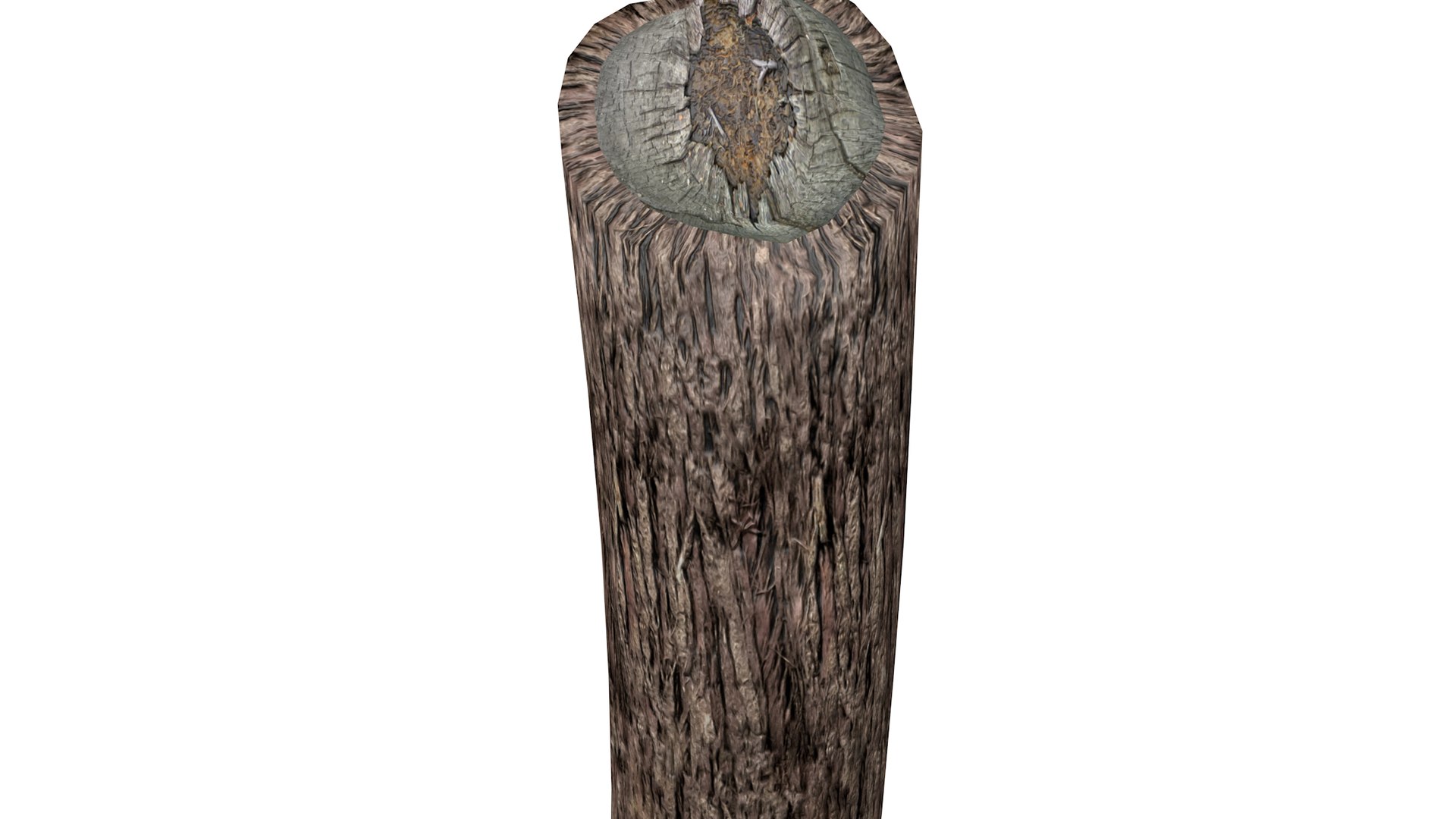 Western Red Cedar Tree Stump - 10 - 3D - TurboSquid 2374163