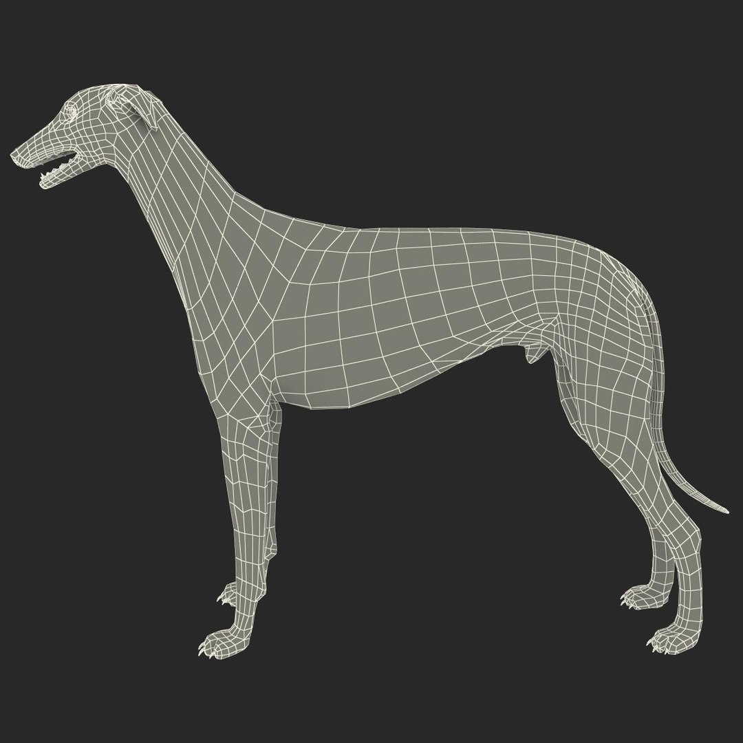 australian greyhound fur 3d max