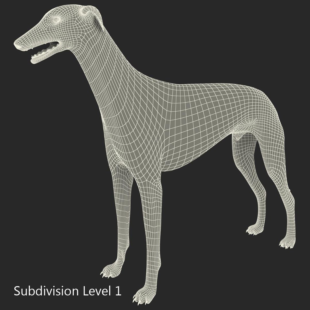 australian greyhound fur 3d max