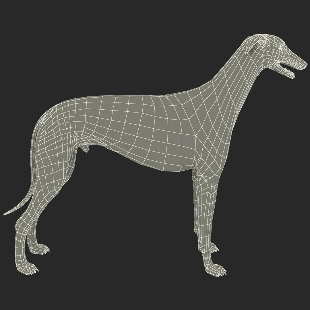australian greyhound fur 3d max