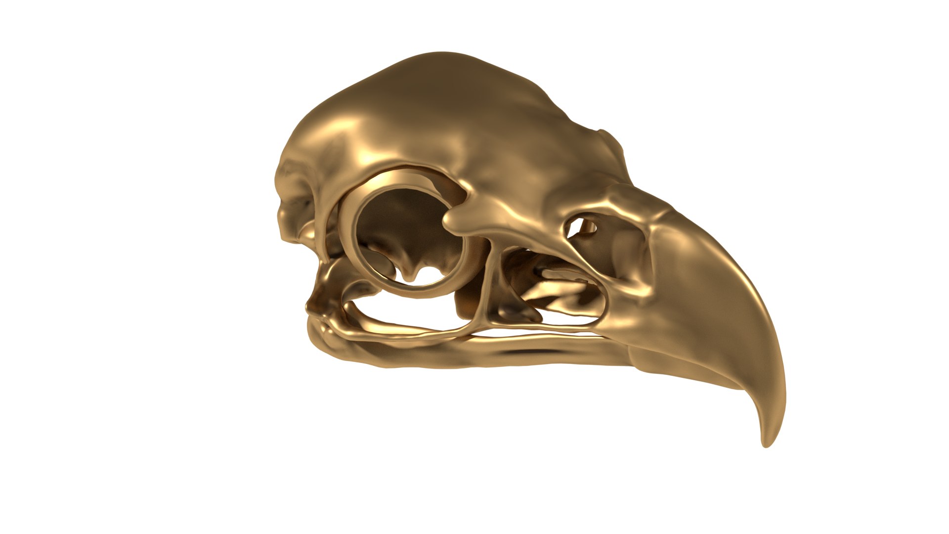 Skull Eagle 3d Model