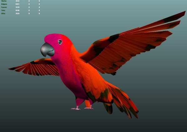 3d model parrot birds macaws