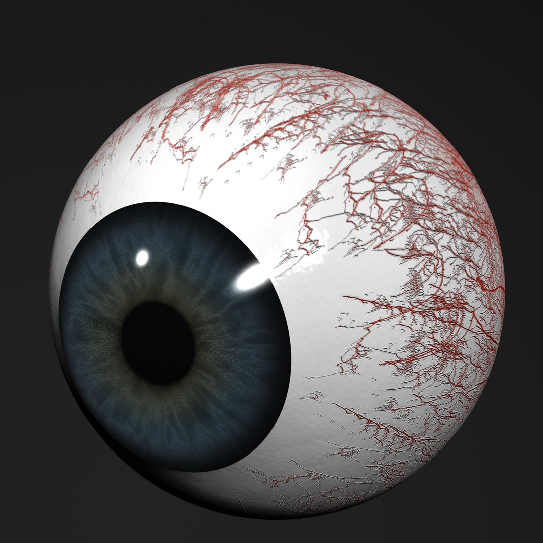 human eye 3d obj