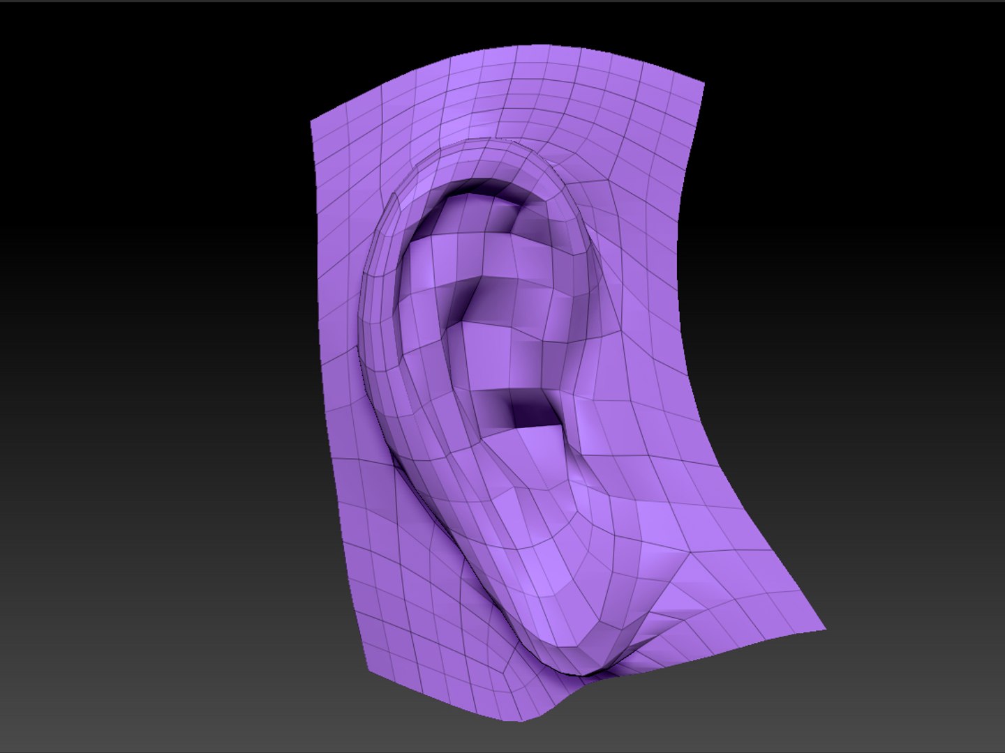Obj Realistic Human Ear