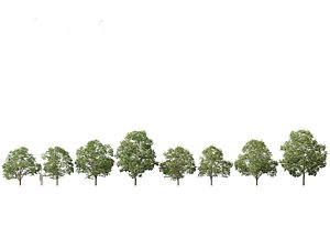 3D Conker Models | TurboSquid