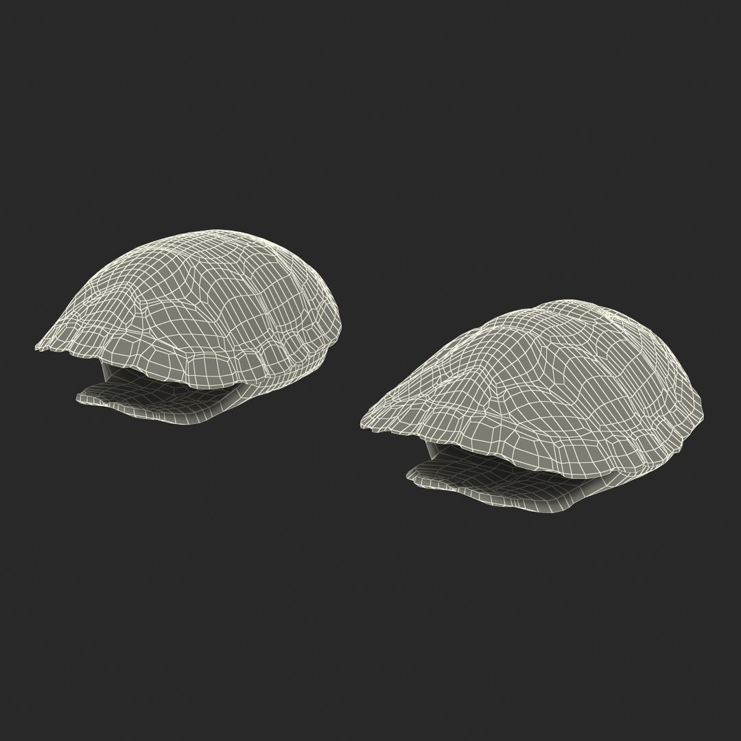 3d turtle shells