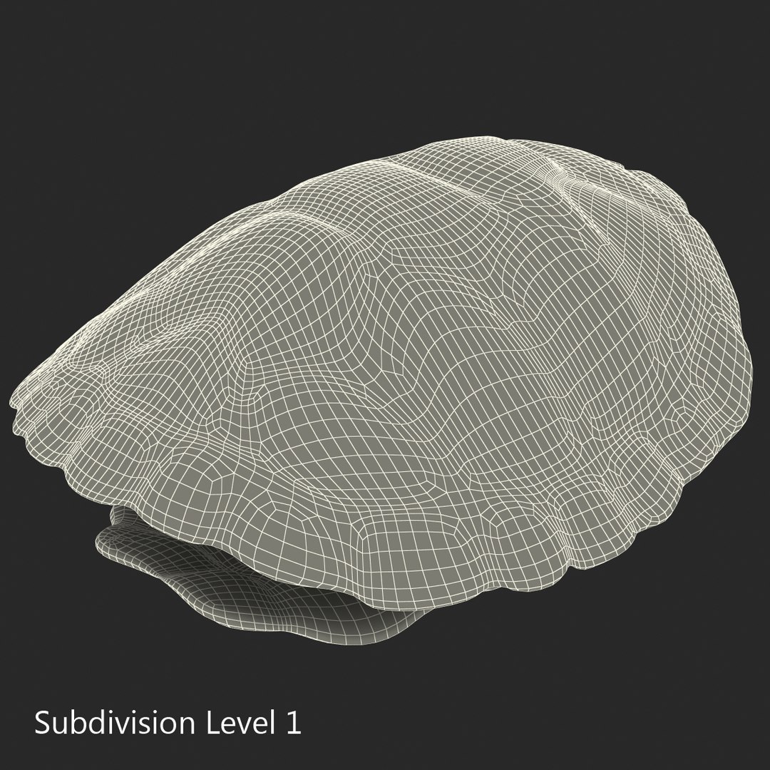 3d turtle shells
