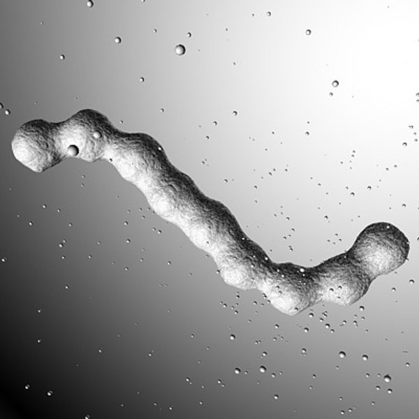 max microscopic parasite 1