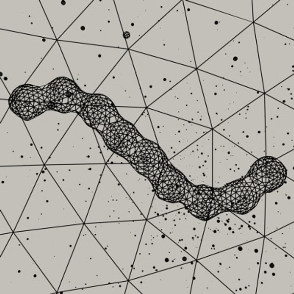 max microscopic parasite 1