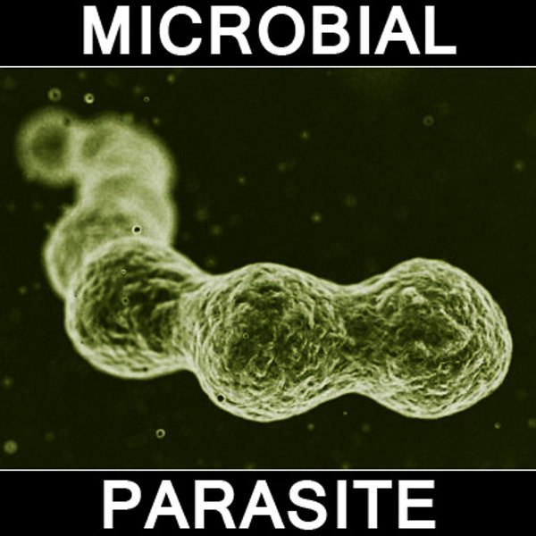 max microscopic parasite 1