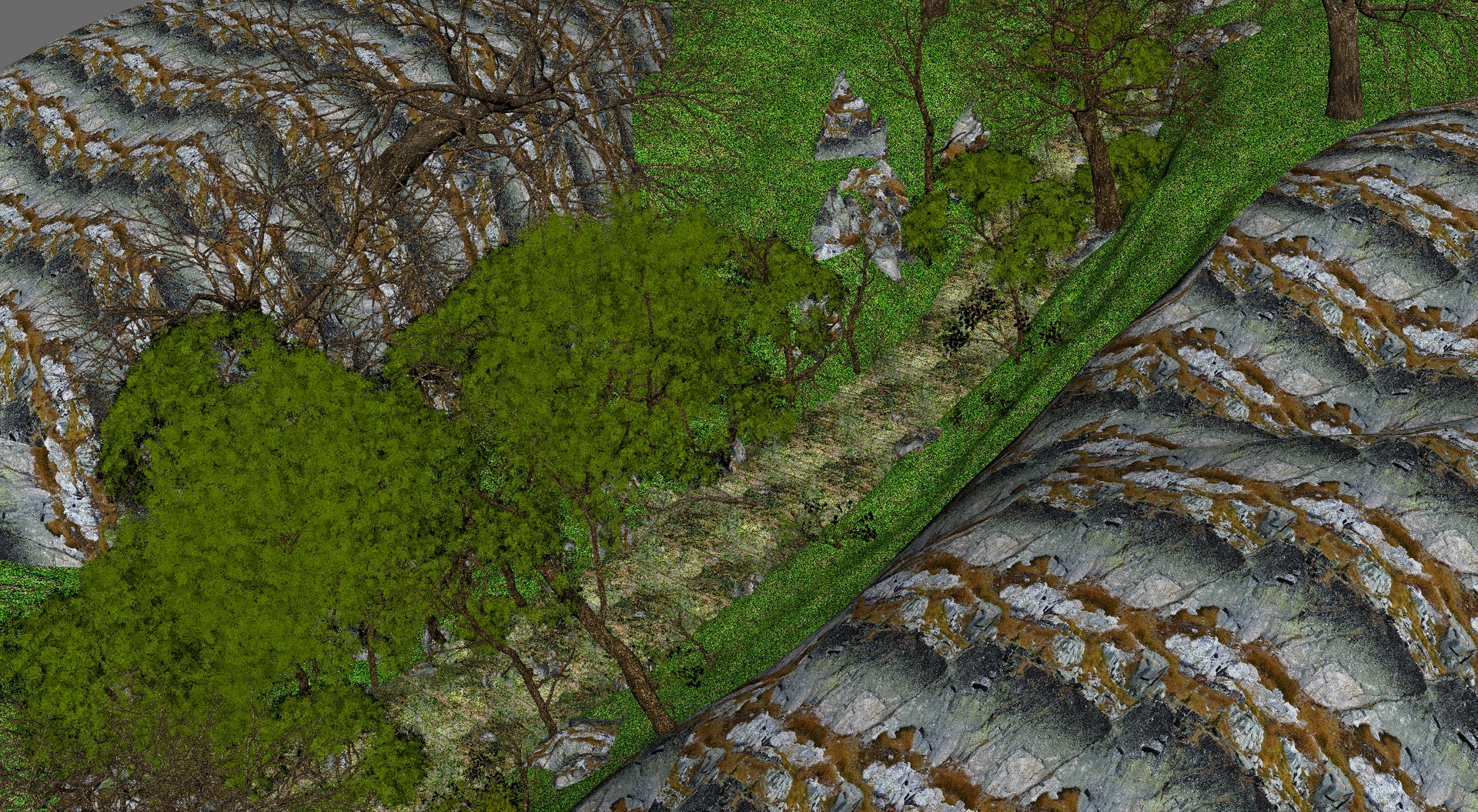 Path Forest Scale 3D - TurboSquid 1465904