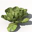 Xfrogplants Lettuce Plant 3d Model