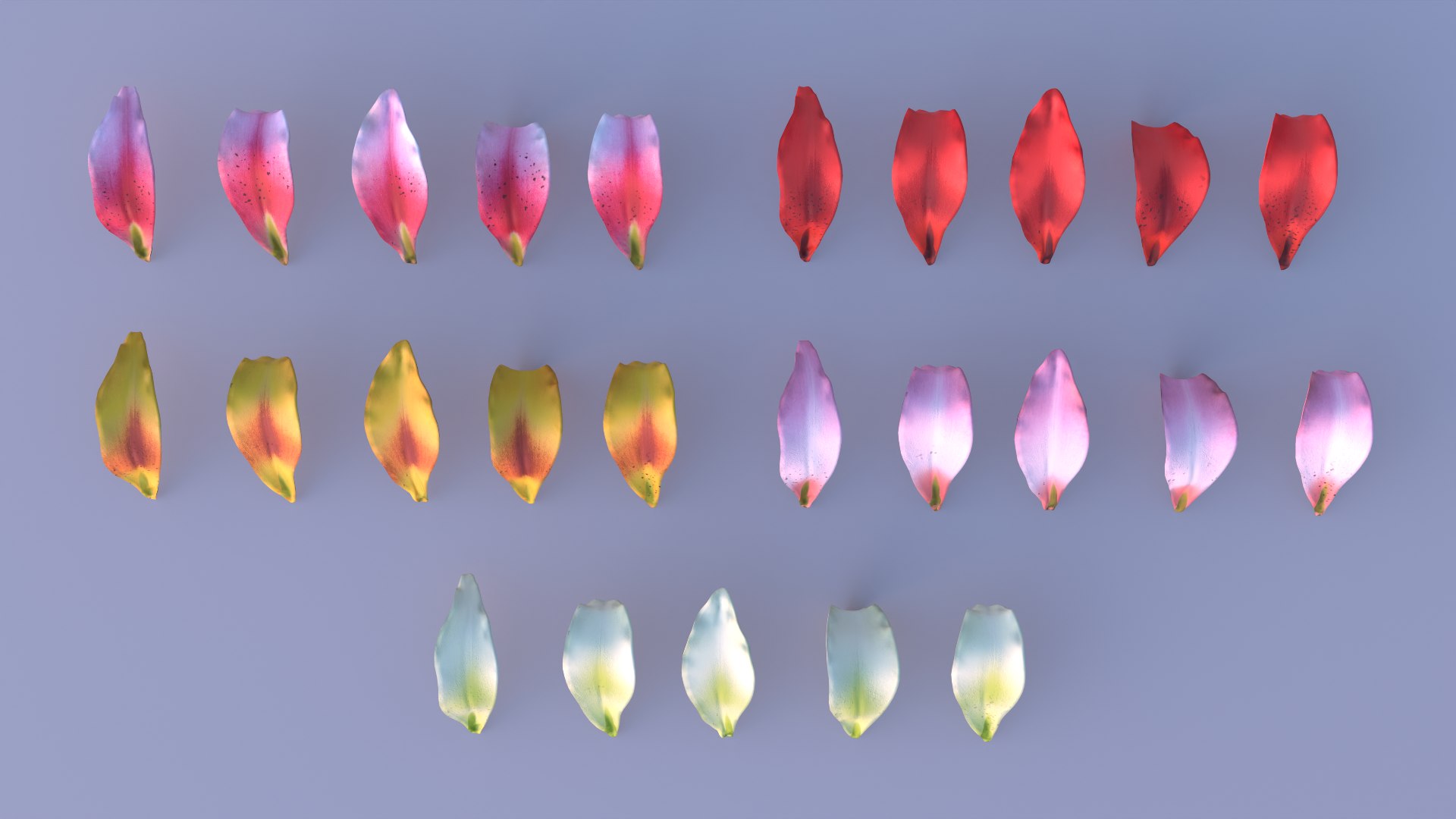 3D Lily Petals In 5 Colors Model - TurboSquid 2362774
