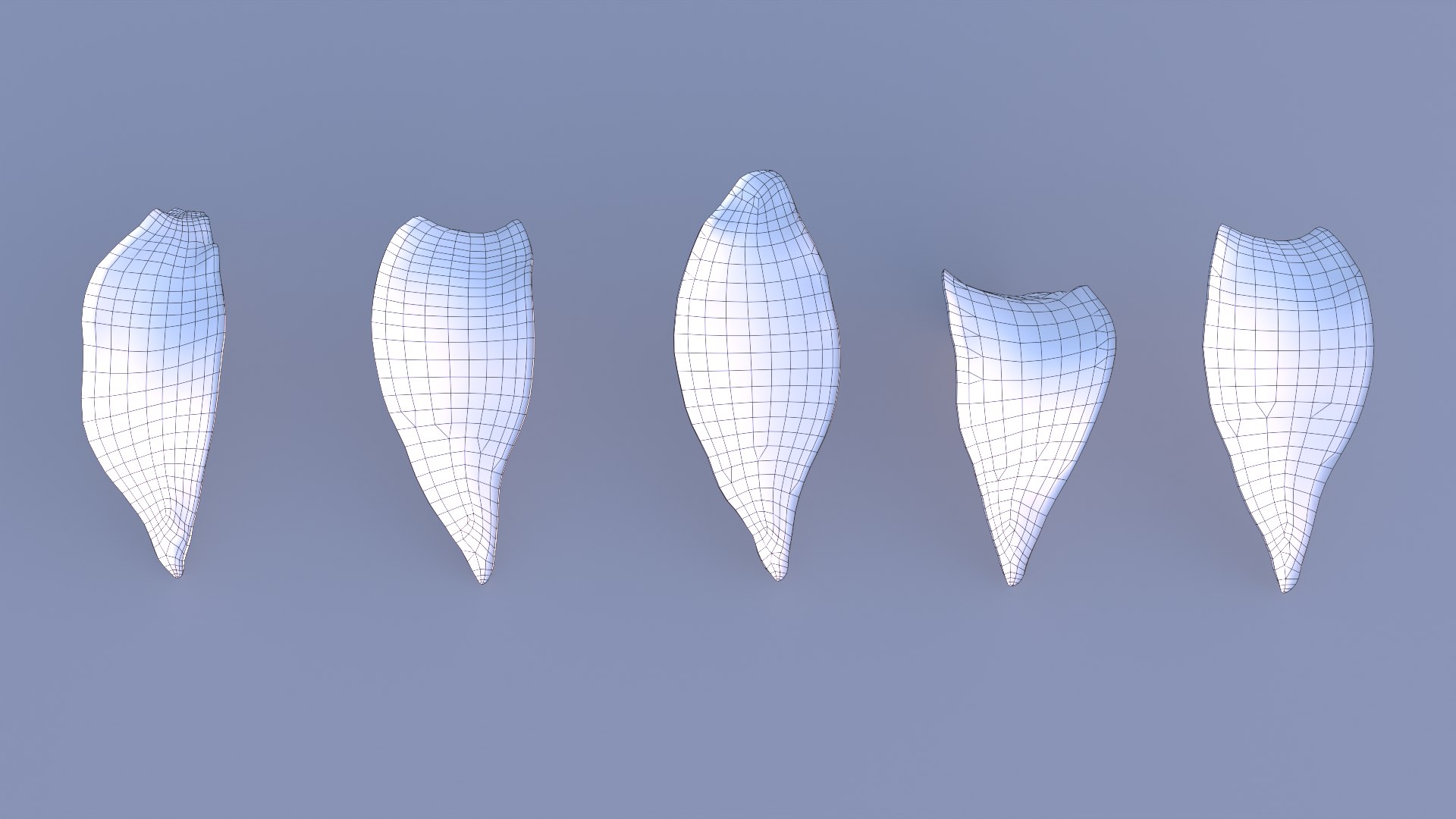 3D Lily Petals In 5 Colors Model - TurboSquid 2362774