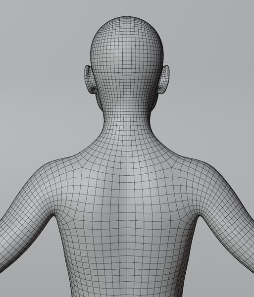 Body 3D model - TurboSquid 1592099