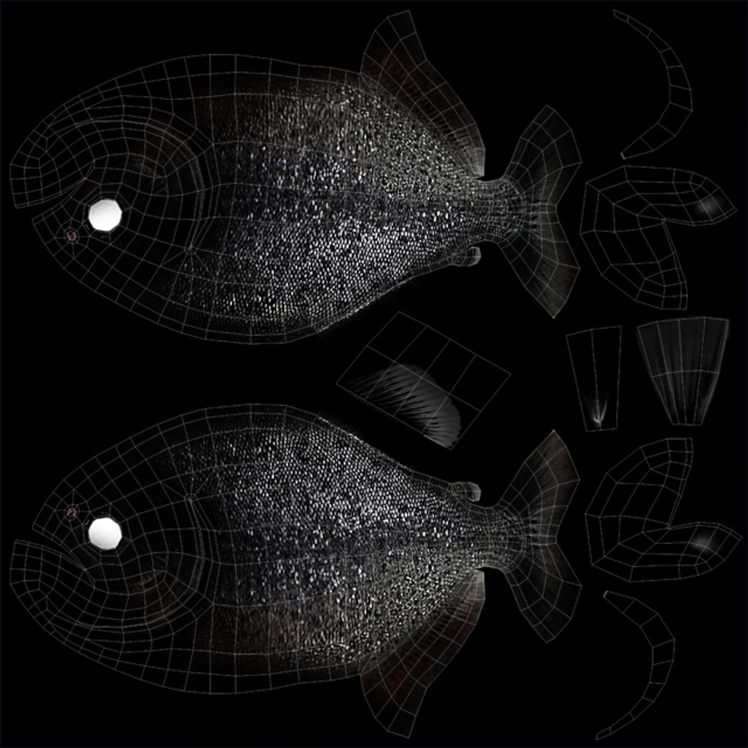 3d Piranha Fish Piran Piranya Model