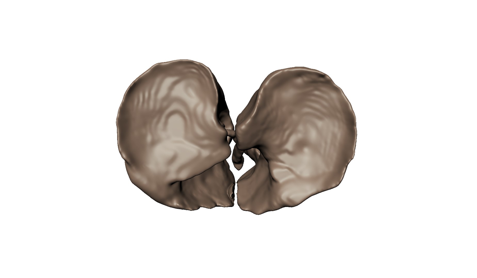 Real Human Lungs Cast 3D Model - TurboSquid 1382344
