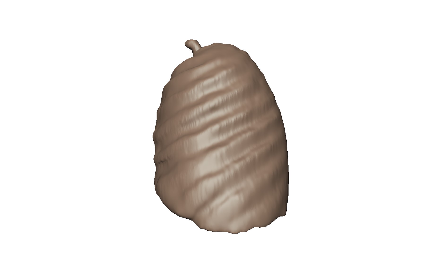 Real Human Lungs Cast 3D Model - TurboSquid 1382344