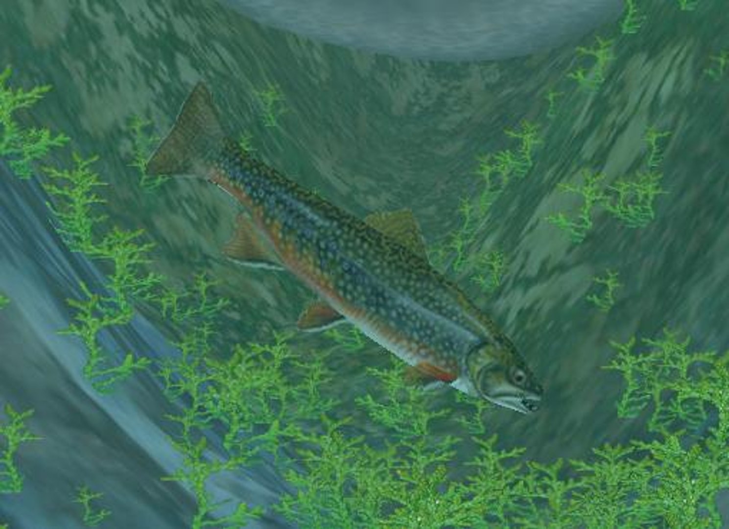 3d swimming fish model