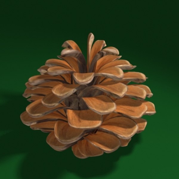 3ds max pine cone