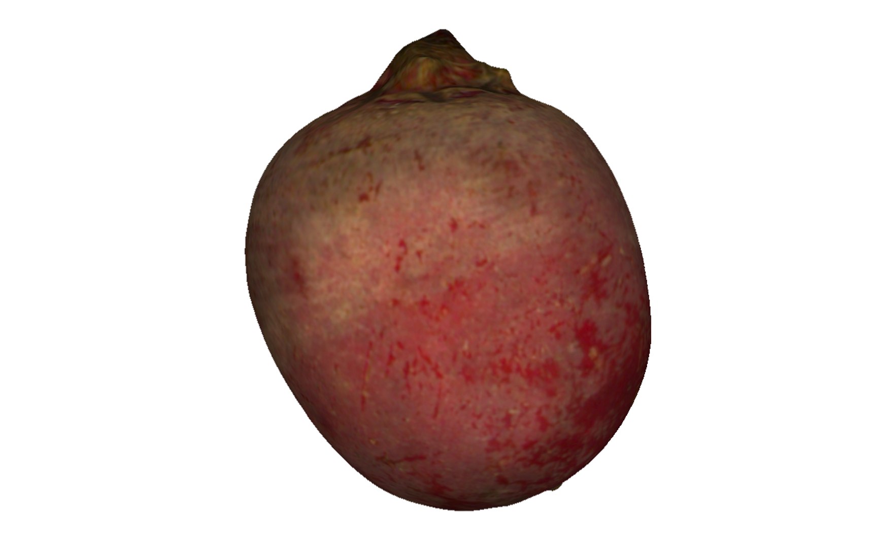 3D beet scan - TurboSquid 1641297