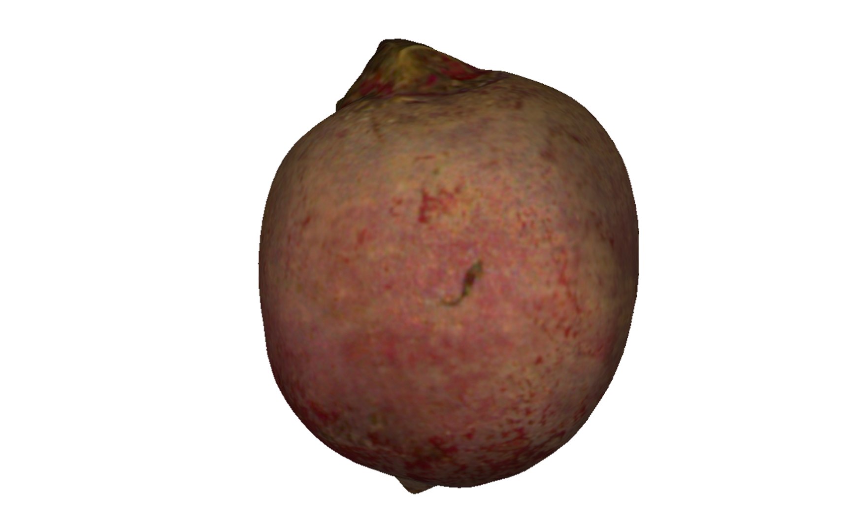 3D beet scan - TurboSquid 1641297