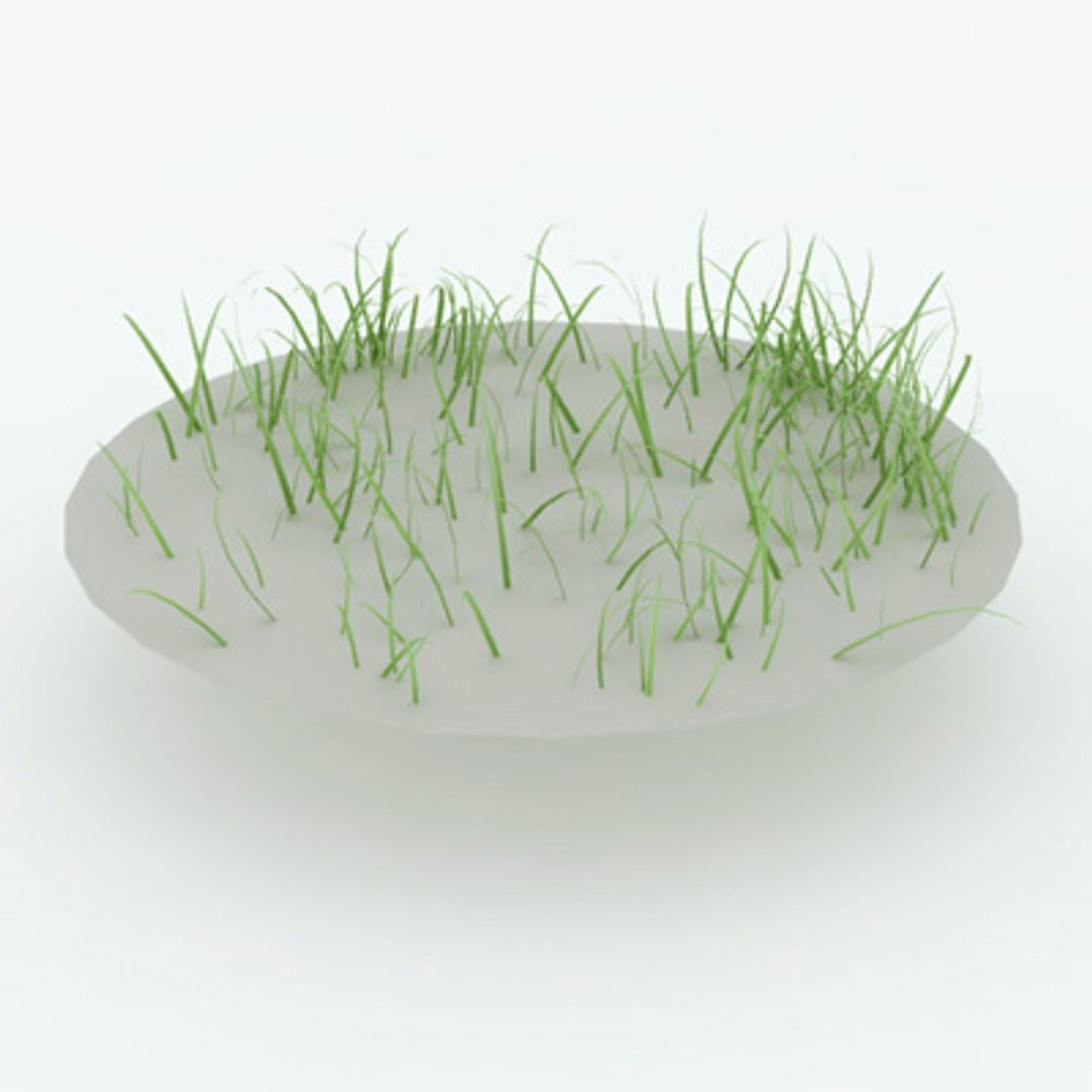 Photorealistic Proxy Grass Ground 3d Model