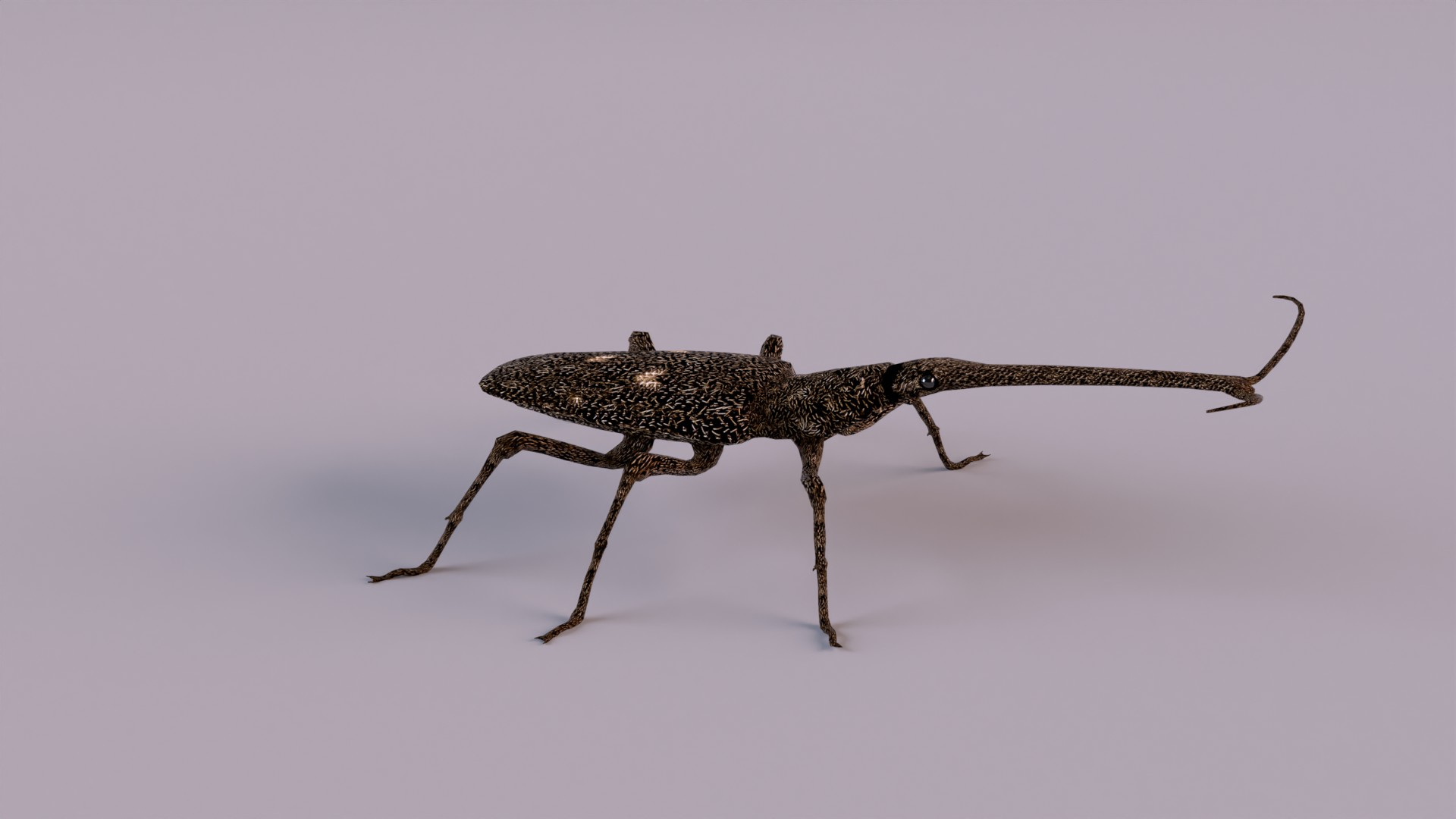 3D new zealand giraffe weevil model - TurboSquid 1321100