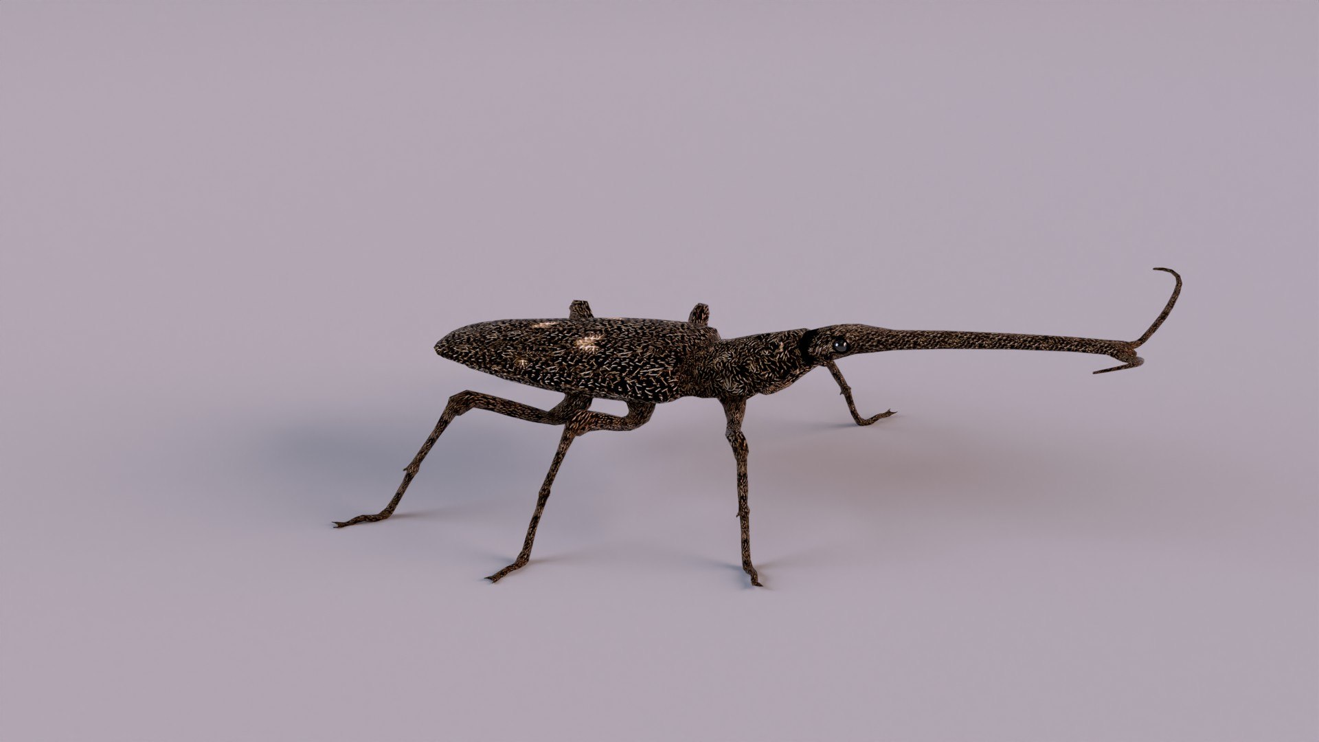 3D new zealand giraffe weevil model - TurboSquid 1321100
