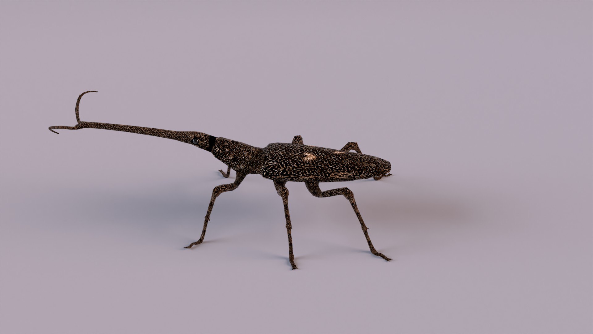 3D new zealand giraffe weevil model - TurboSquid 1321100