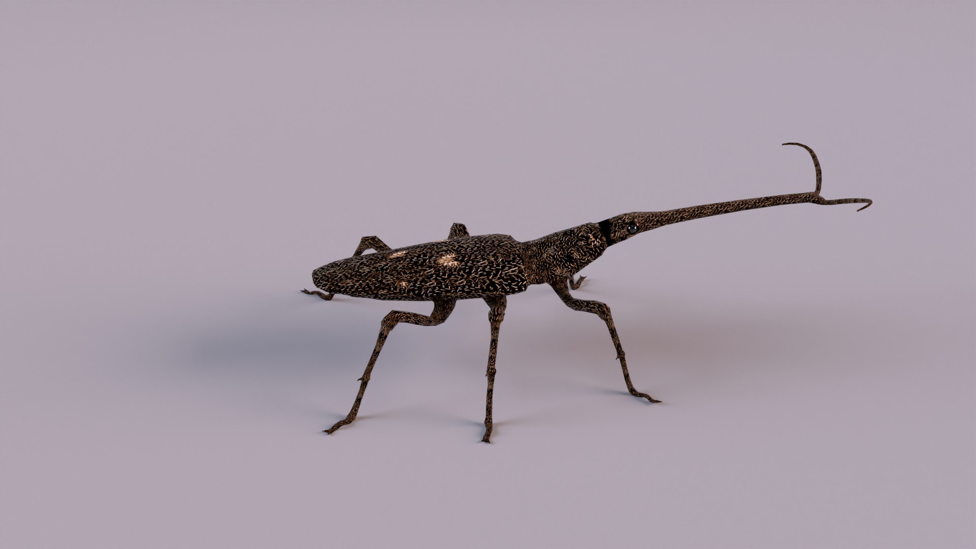3D new zealand giraffe weevil model - TurboSquid 1321100