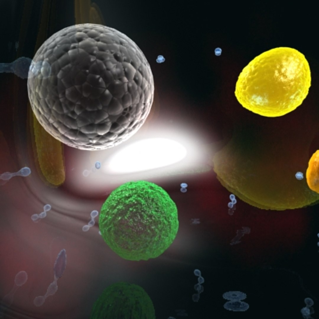 Biological Cell 3d Model