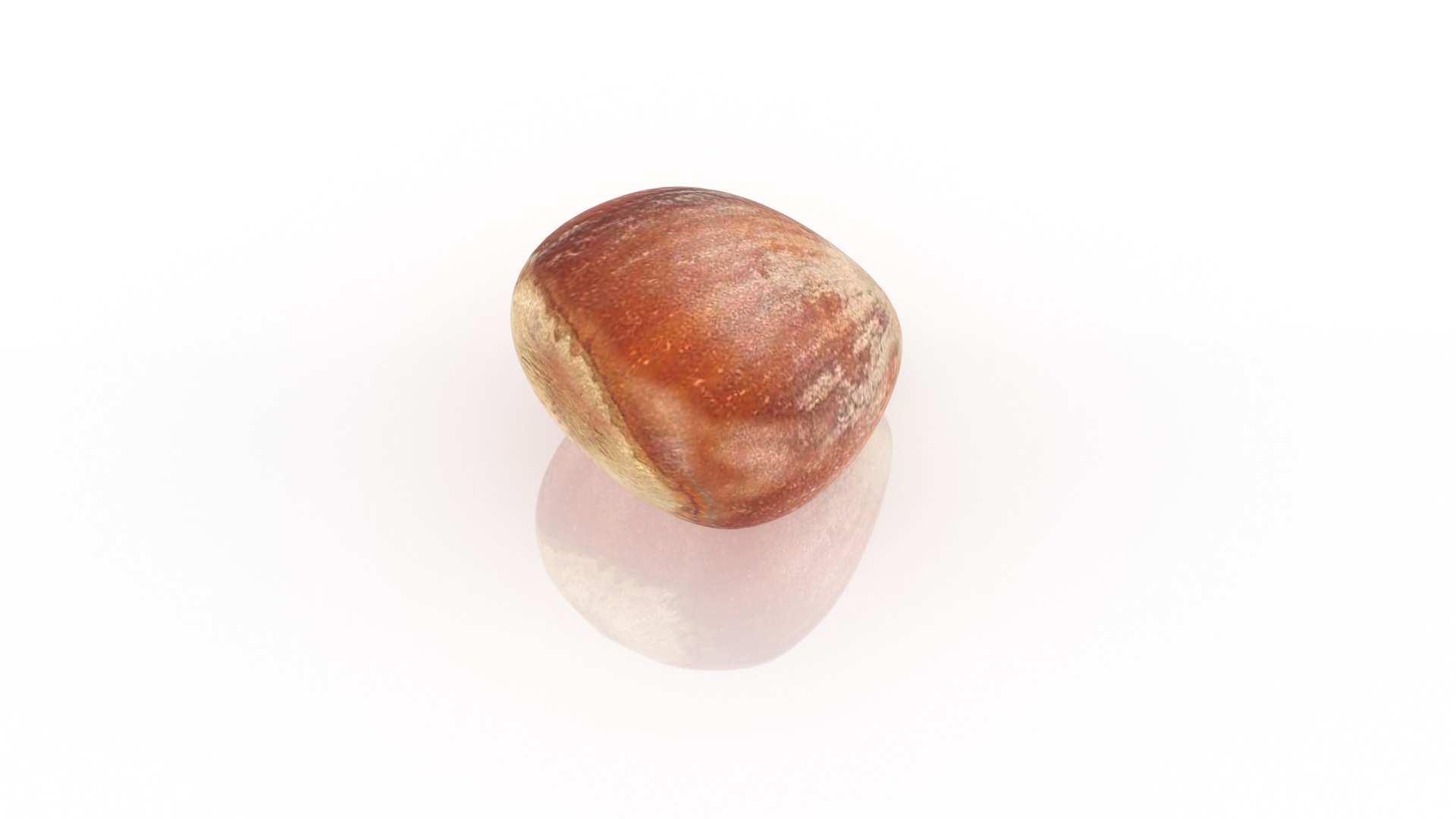3D Hazelnut Model - TurboSquid 1911621