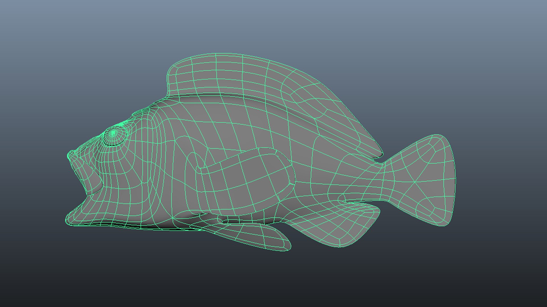 Tiger Rockfish Pink 3D Model - TurboSquid 1691852