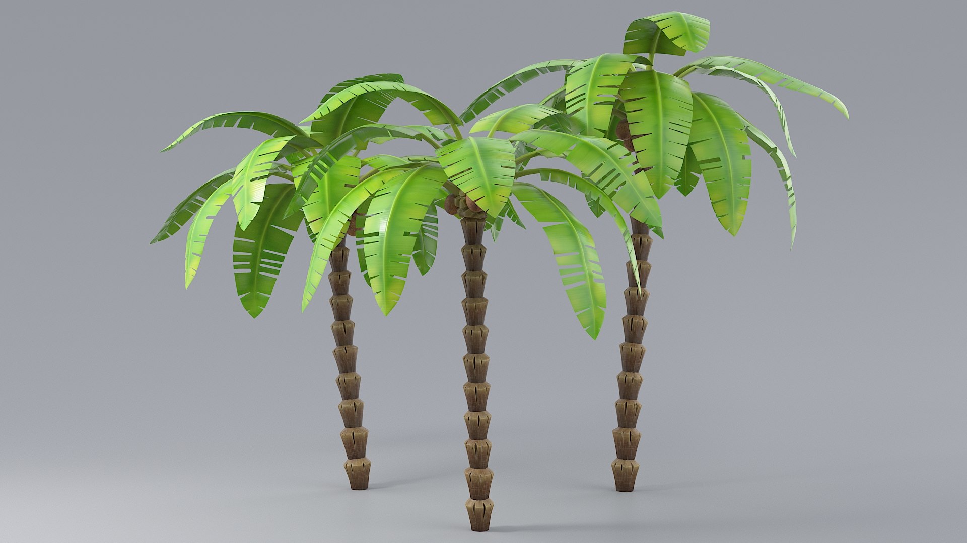 anthropomorphic palm tree