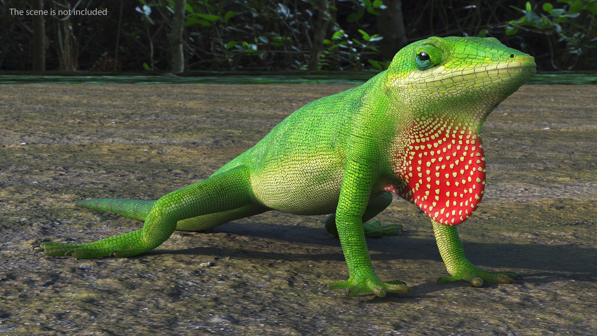 Max Carolina Anole Lizard Rigged