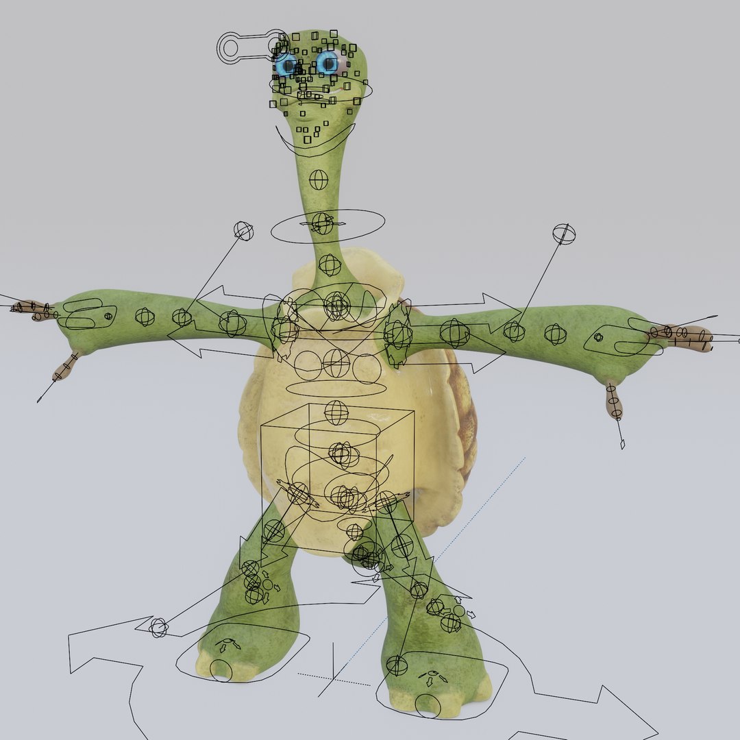 Turtle Rigged Character 3D Model - TurboSquid 2166357