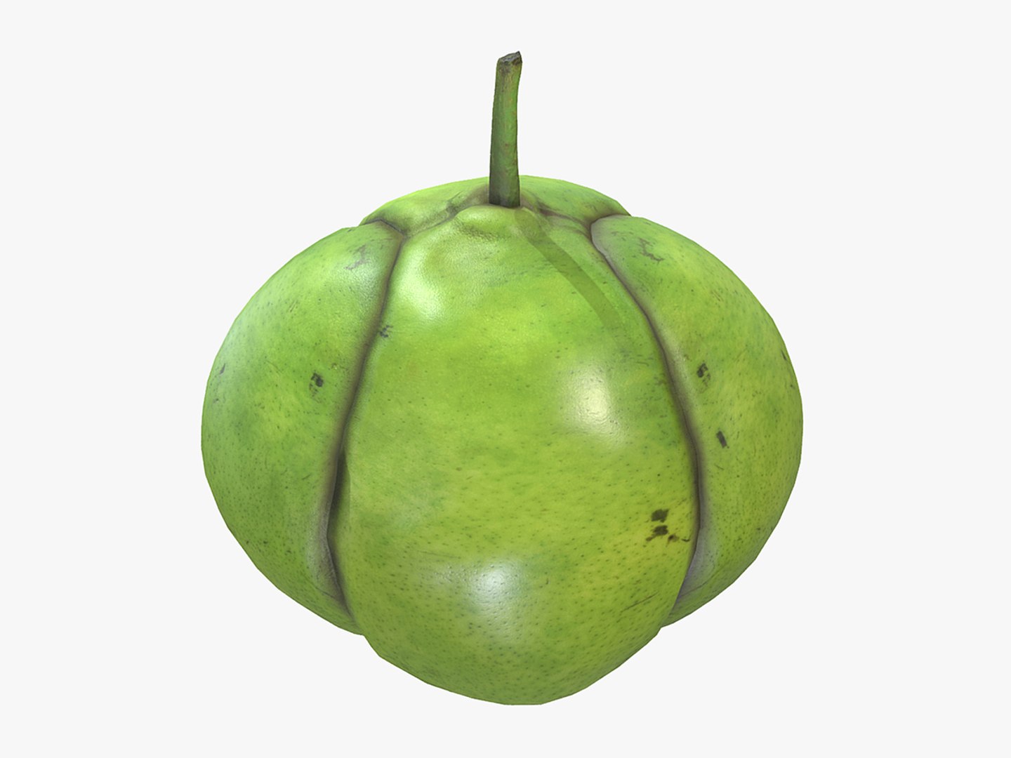 modelo 3d Fruta Dillenia Philippinensis Low Poly - TurboSquid 2317757
