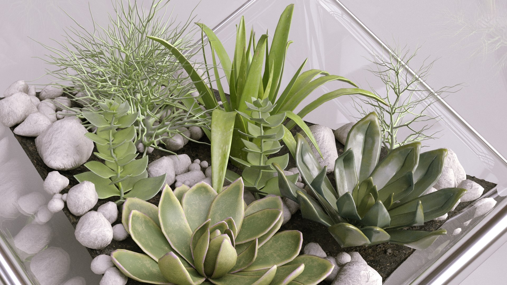 3D model Florarium cube with succulents - TurboSquid 1838595