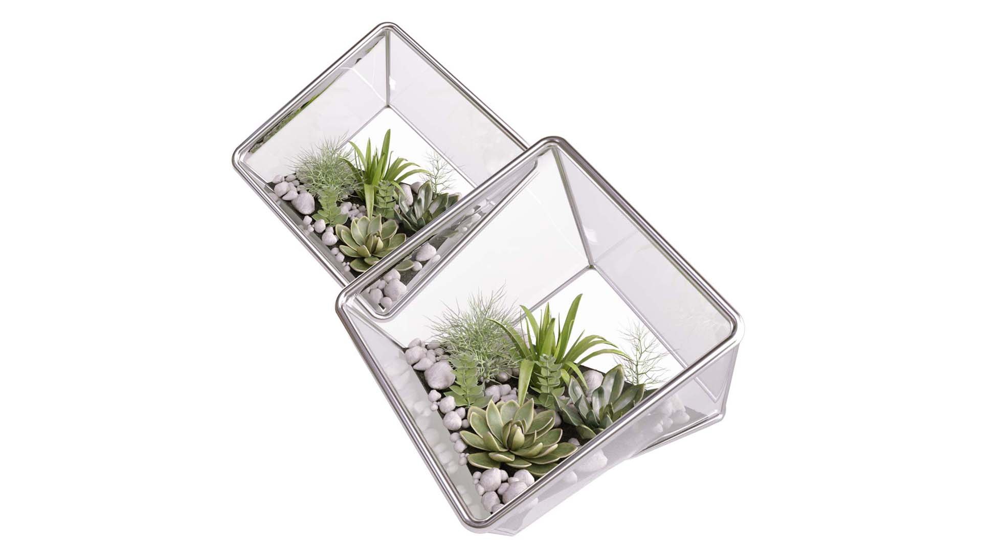 3D model Florarium cube with succulents - TurboSquid 1838595