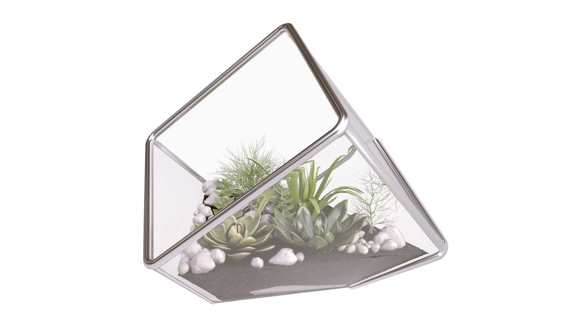 3D model Florarium cube with succulents - TurboSquid 1838595