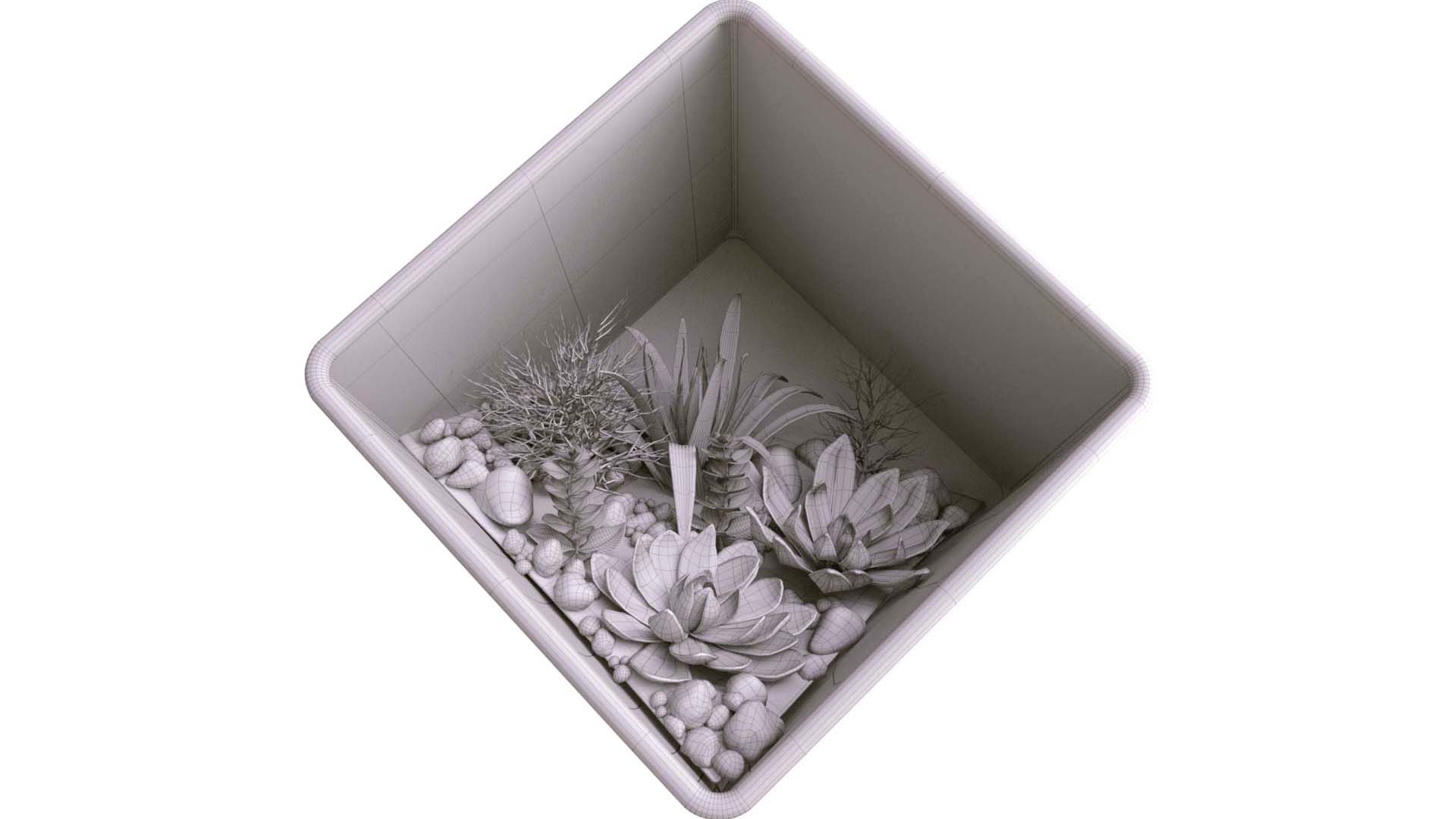 3D model Florarium cube with succulents - TurboSquid 1838595