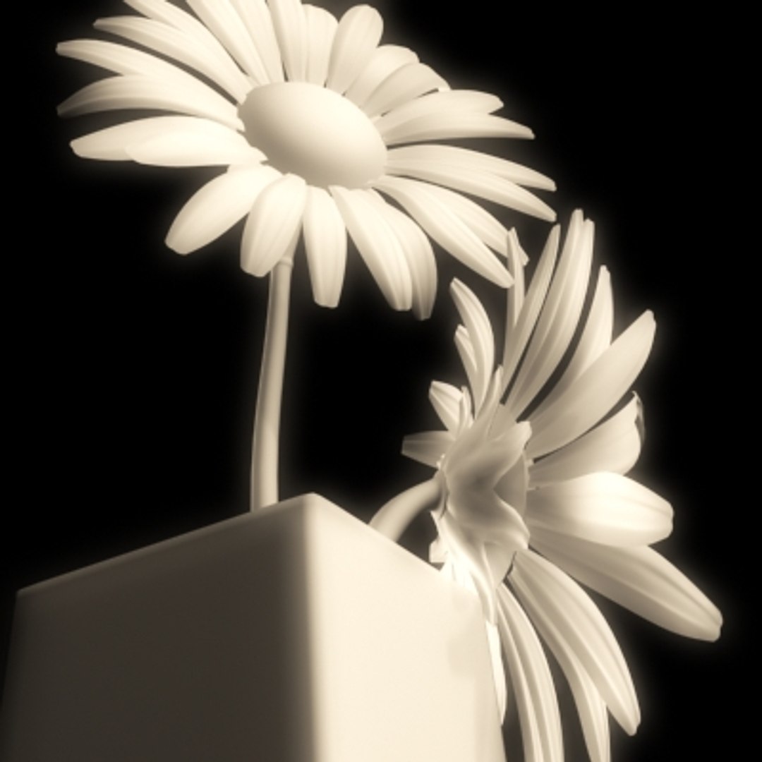 3d model daisies vase