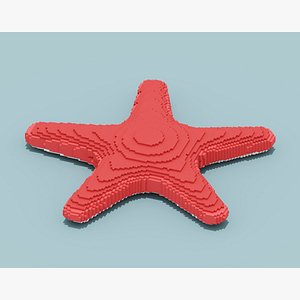 Cartoon Starfish STL Models for Download | TurboSquid