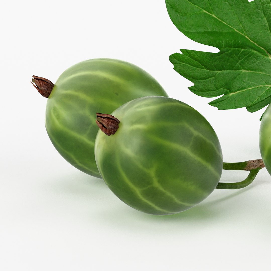 Realistic Gooseberry Real Max