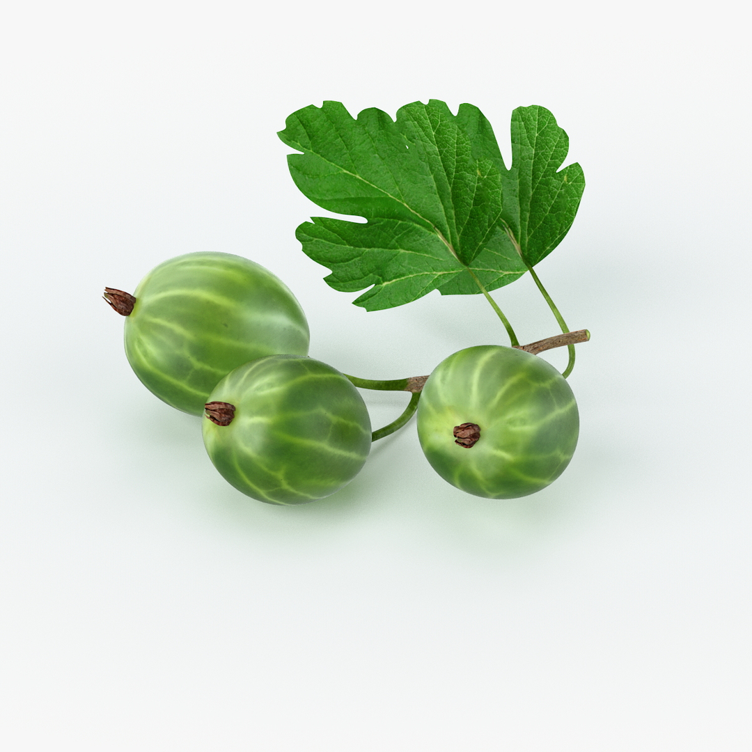 Realistic Gooseberry Real Max